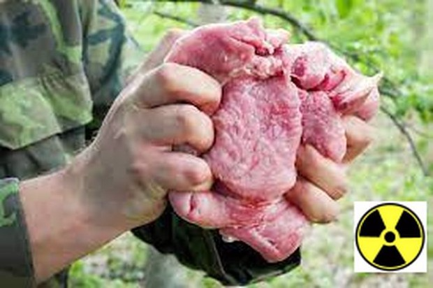 More radioactive meat DLTX addon - S.T.A.L.K.E.R. Anomaly mod for S.T.A ...