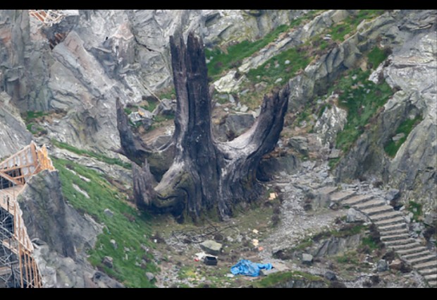 A force-sensitive tree, presumably image - Star Wars Fan Group - Mod DB