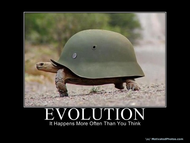 Boga image - Humor, satire, parody - ModDB