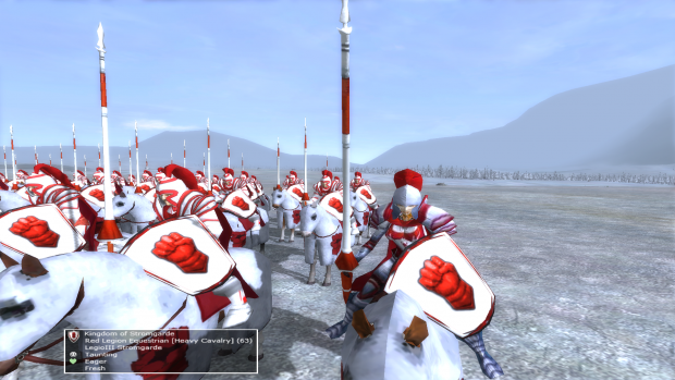 Amaren and Nials of Stromgarde now has unique female custom models ...