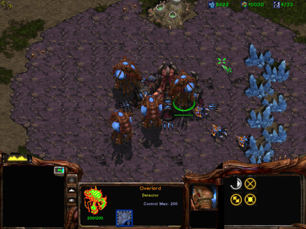 Zerg Overlord Starcraft