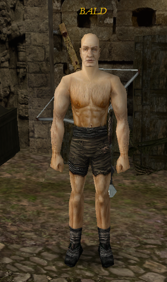 Image 2 - Gothic 2 NoR New Character models for Gothic II - The Night ...