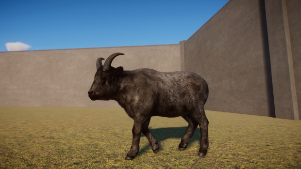 Image 1 - Melanistic Dall Sheep mod for Planet Zoo - ModDB