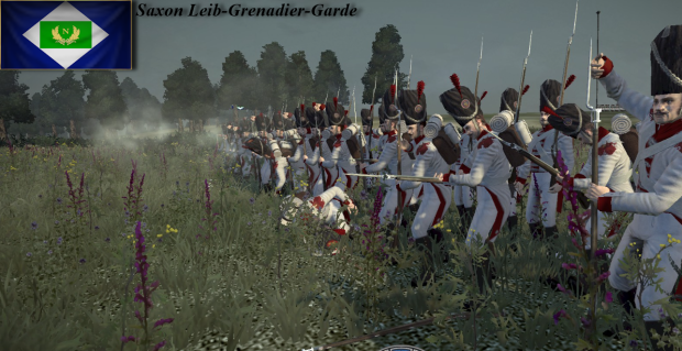 Saxon Leib Grenadier Garde image - LGA: La Grande Armée mod for ...