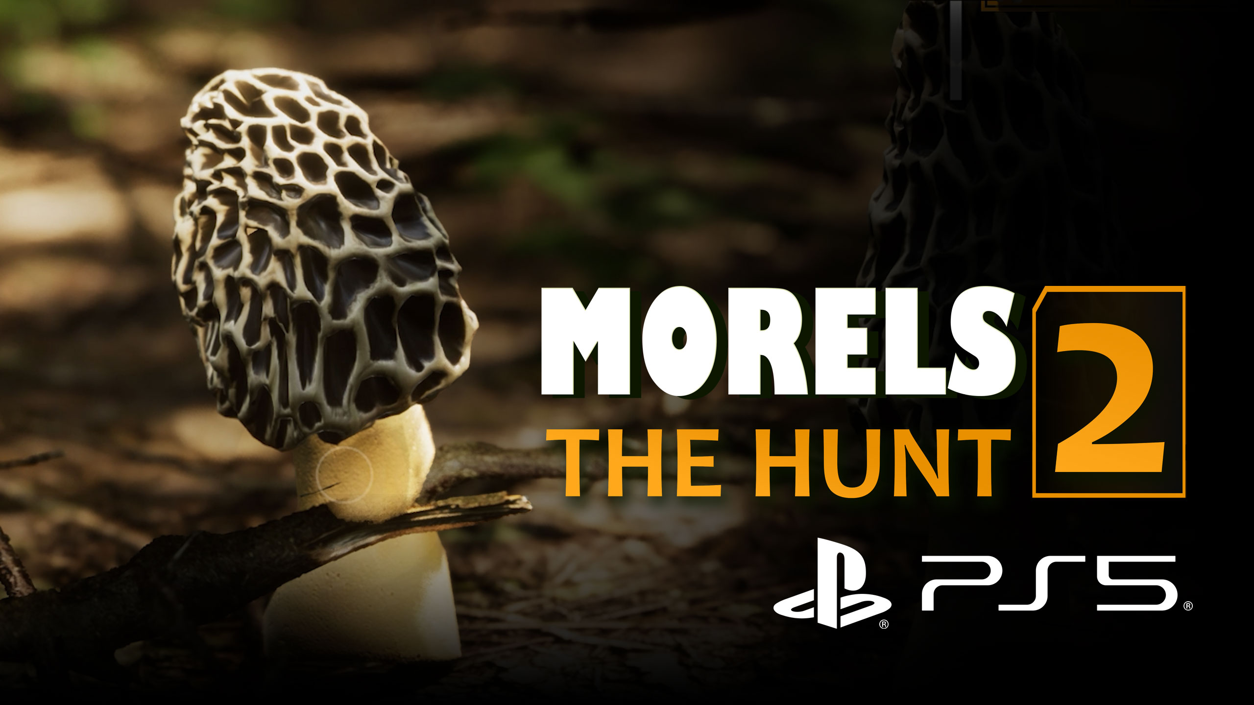 ‘Morels: The Hunt 2’ Coming To Playstation 5 on November 14th! news - ModDB