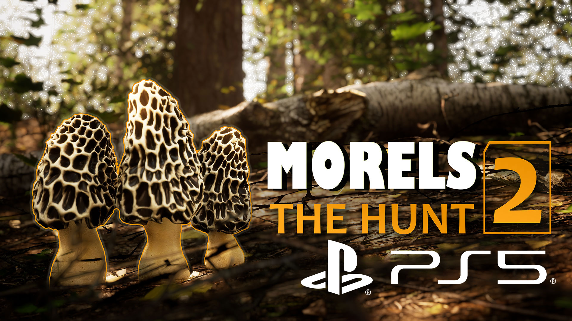 ‘Morels: The Hunt 2’ Officially Released on Playstation 5! news - ModDB