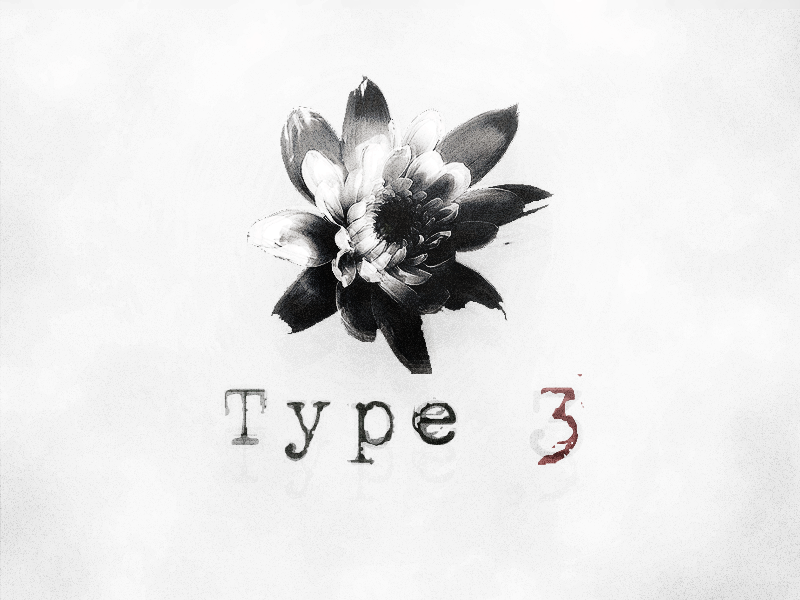 Type 3 Announced! news - ModDB
