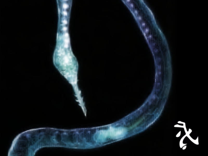 Developing progress news # 1 - NeverFall mod for Half-Life 2 - ModDB