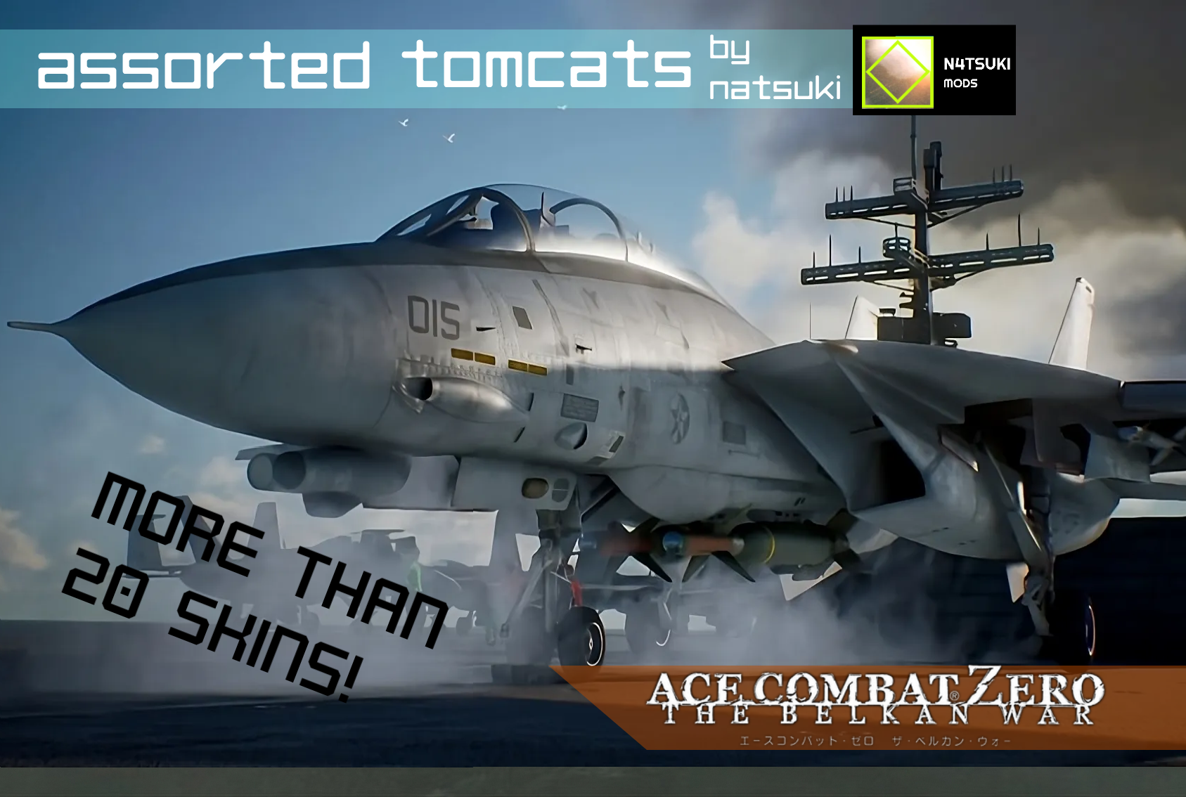 Assorted tomcats by Natsuki addon - Ace Combat Zero: The Belkan War - ModDB