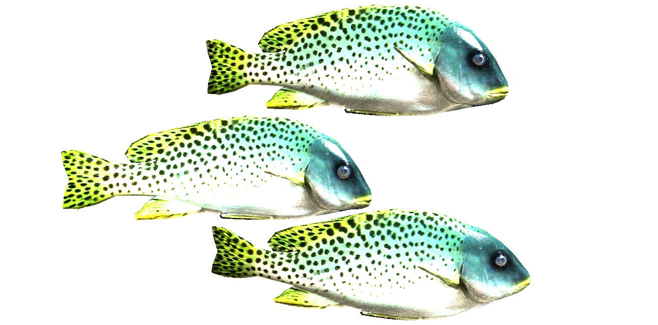 Black spotted grunts image - Jaws of Evolution - ModDB