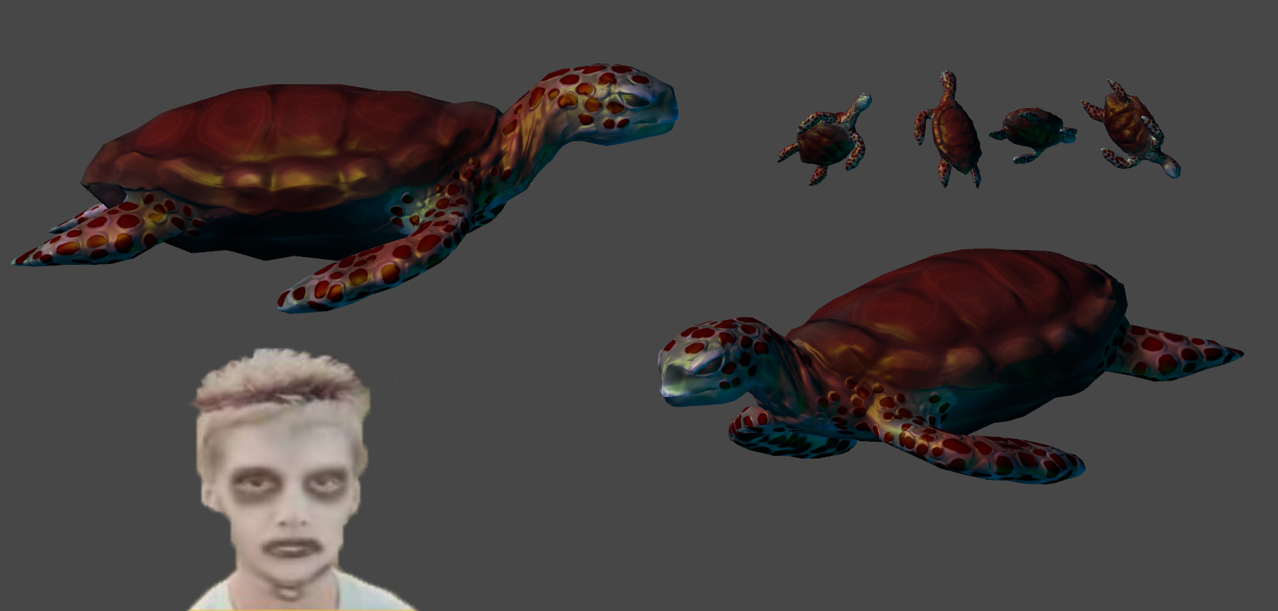 Turtle image - SeaCrit - ModDB