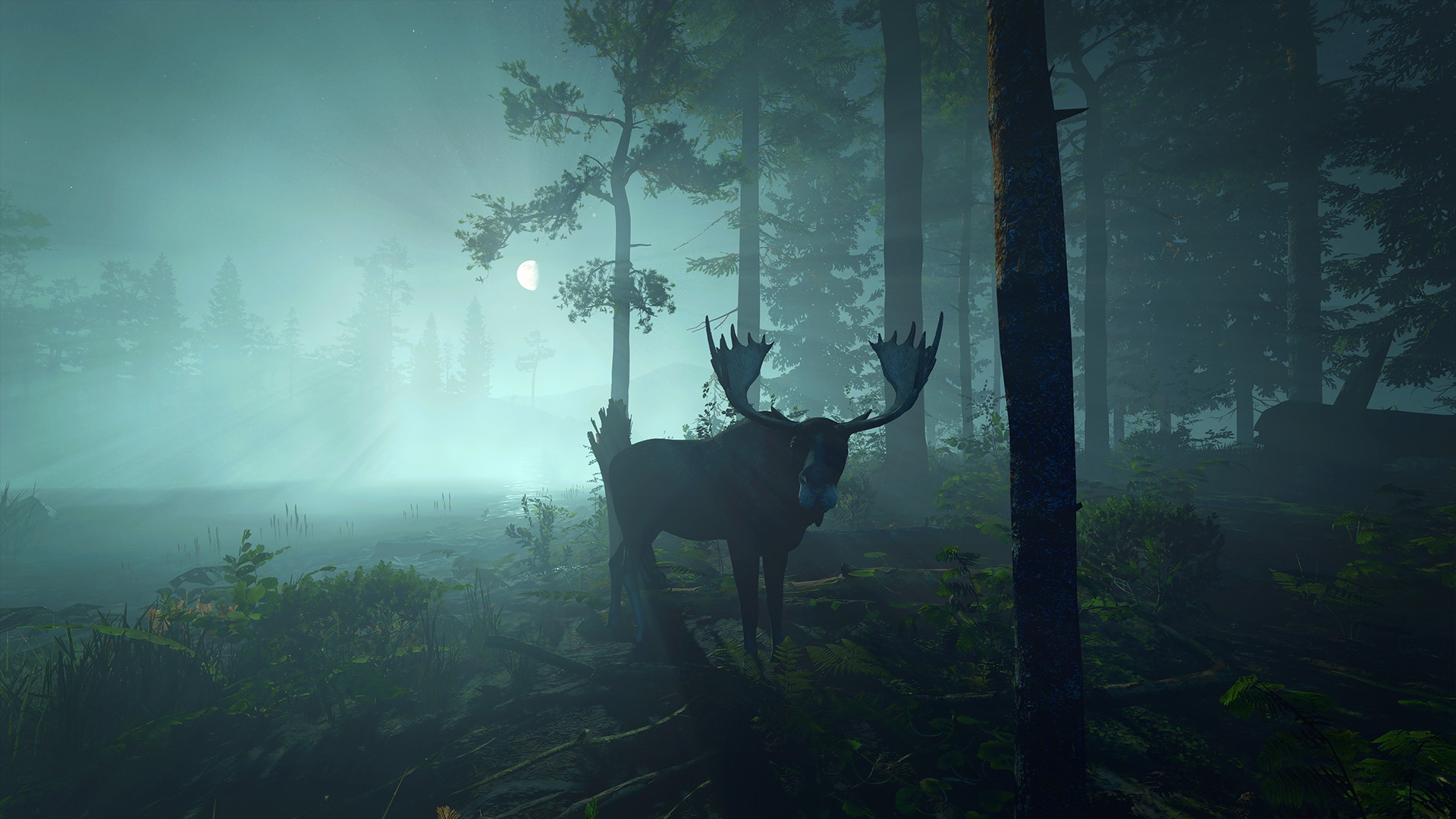 Screenshots image - Forester Simulator - ModDB