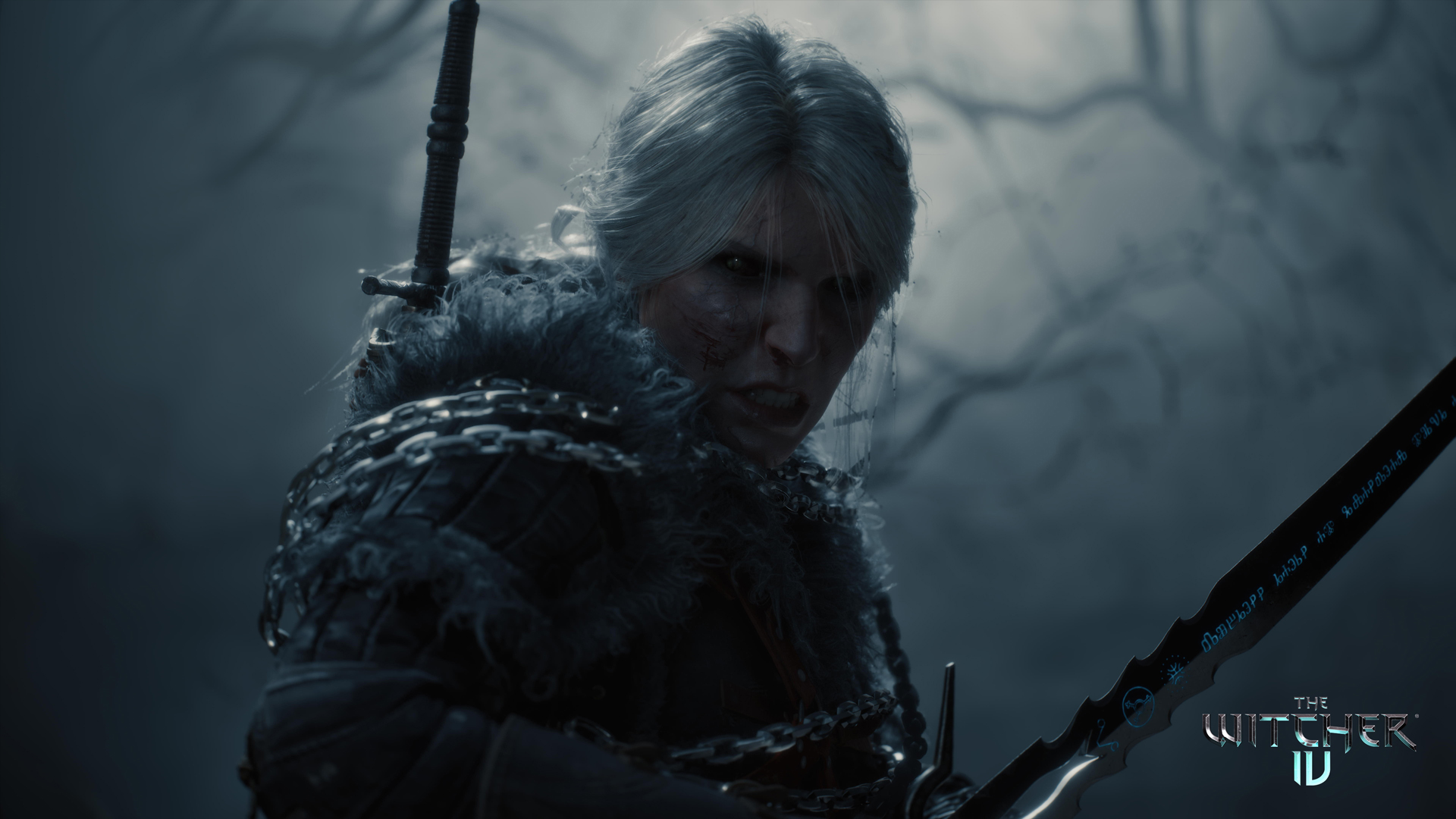 Promo image - The Witcher IV - ModDB