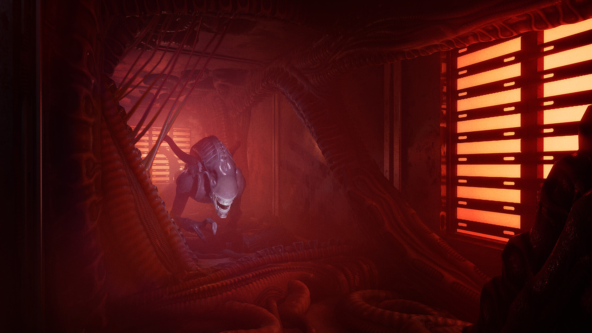 Image 12 - Alien: Rogue Incursion Evolved Edition - ModDB