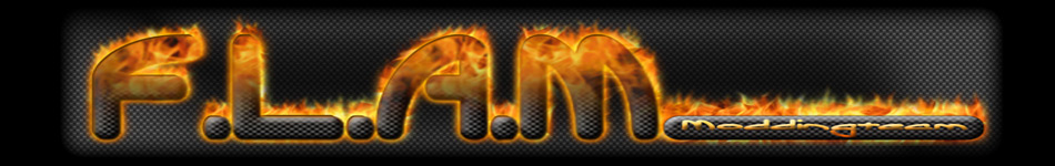 FLAM - Team - Banner image - ModDB