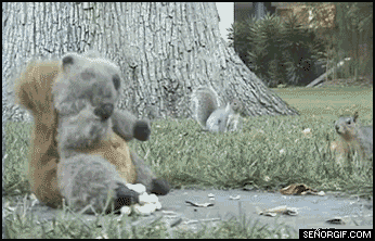 Killer squirrel 2 image - Humor, satire, parody - ModDB