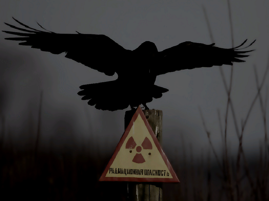 NEW BACKGROUNDS FROM STALKER 2 addon - Dead Air mod for S.T.A.L.K.E.R ...