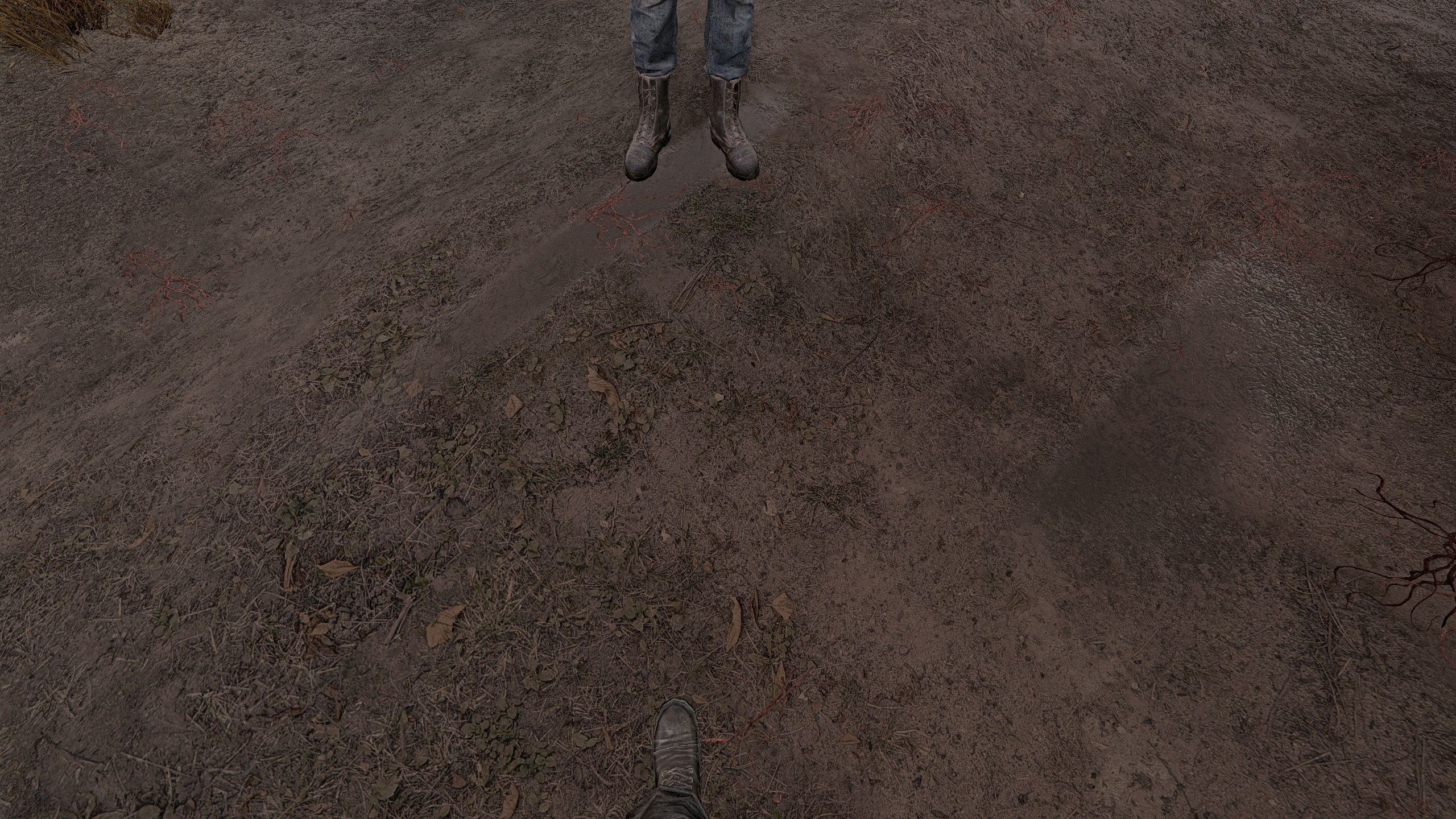 News S.T.A.L.K.E.R.: Shadow Of Chernobyl Rebuild - ModDB
