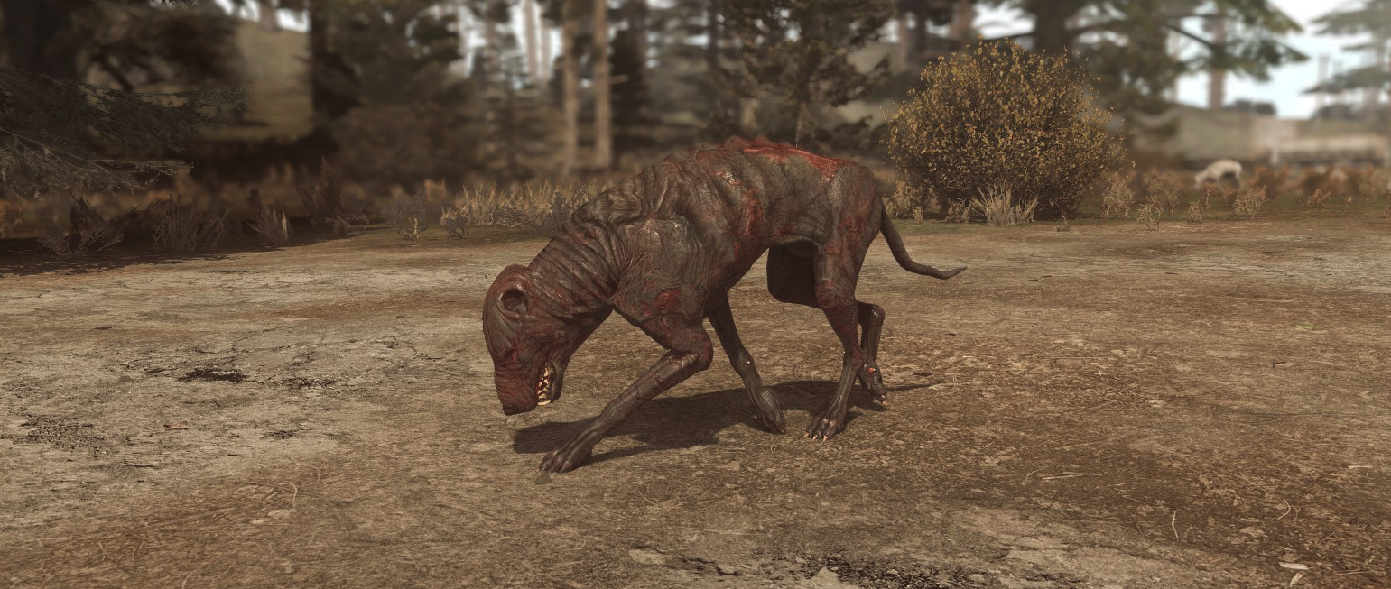 Alternative Blind Dogs addon - S.T.A.L.K.E.R. Anomaly mod for S.T.A.L.K ...