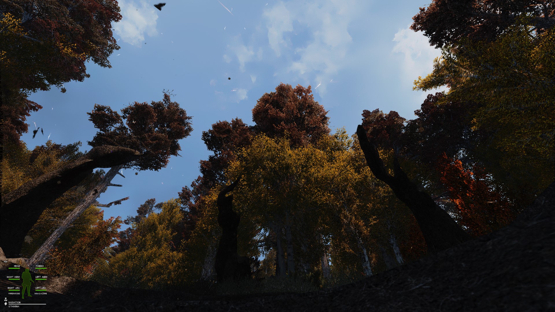 red forest kryiron addon - S.T.A.L.K.E.R. Anomaly mod for S.T.A.L.K.E.R ...