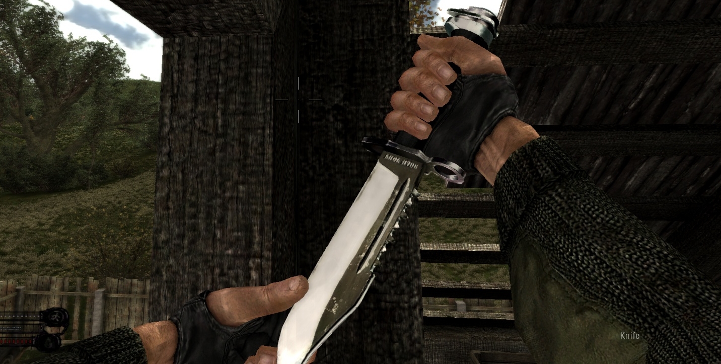 skin details image - STALKER: Singularity (SIN) mod for S.T.A.L.K.E.R ...