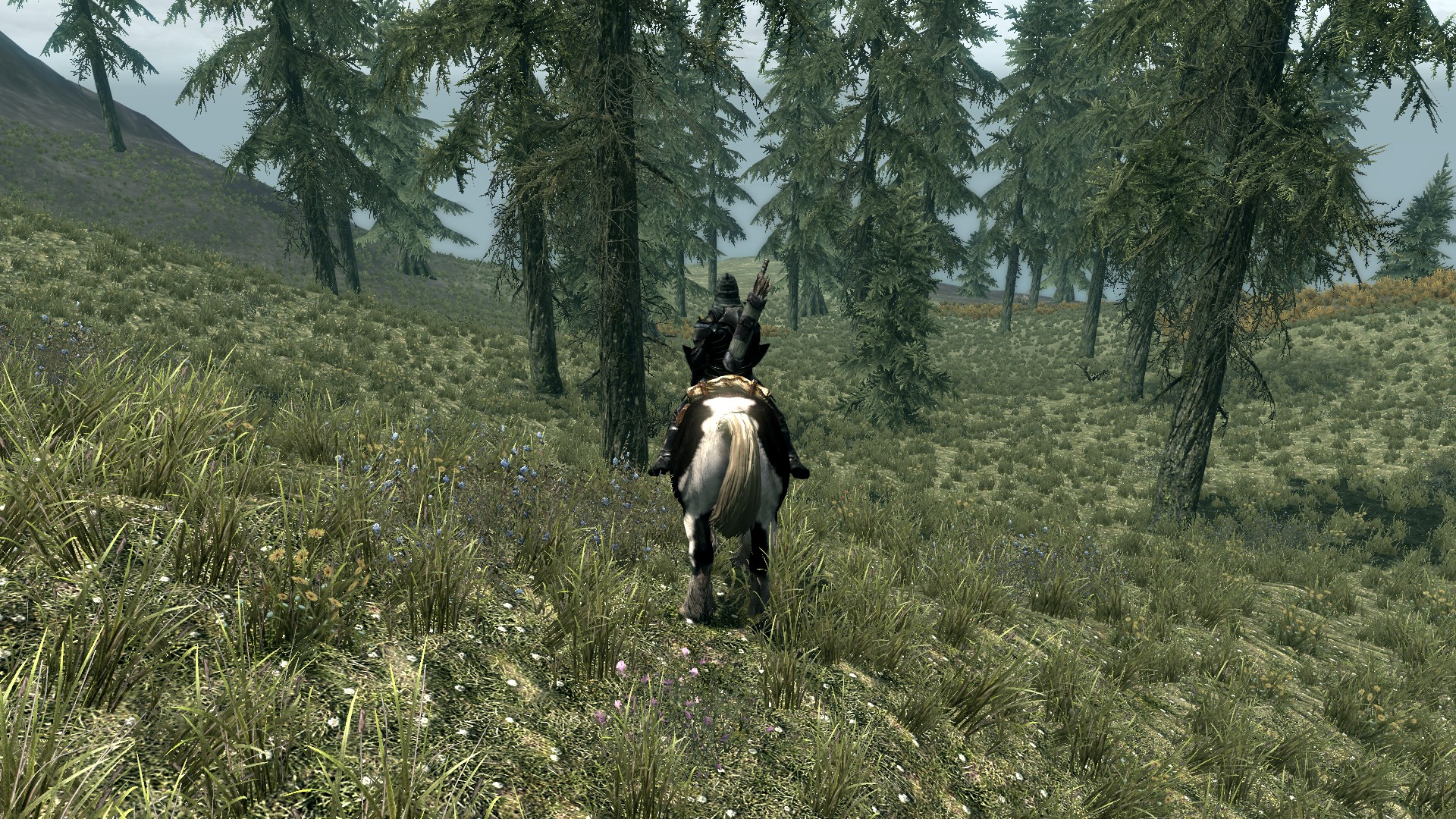 Forests image - The Kiern WIP mod for Elder Scrolls V: Skyrim - ModDB
