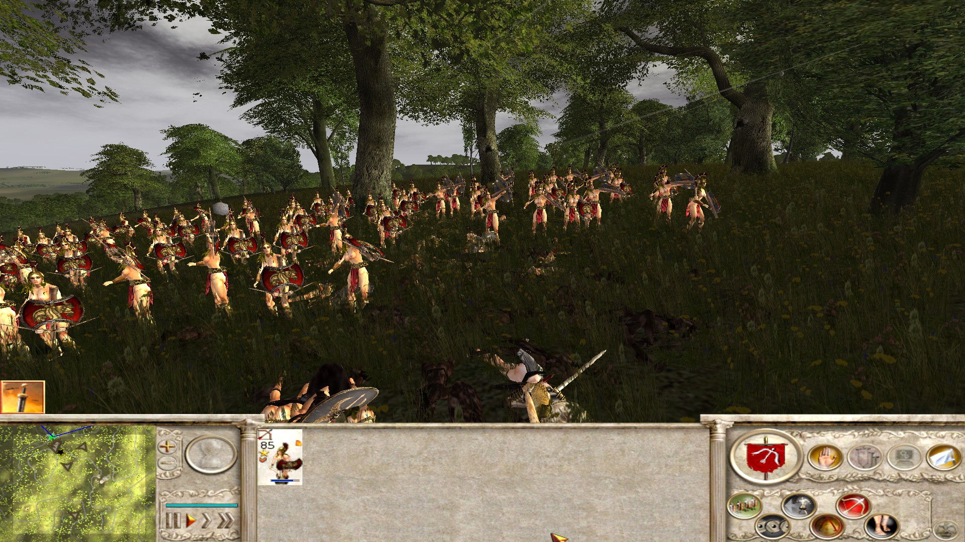 18+ Viewers Only - Amazon Cavalry + Elephant formation image - Amazons ...