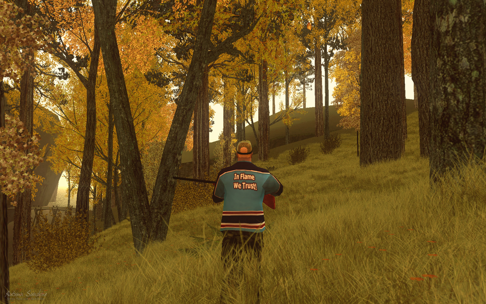 Autumn Sunshine image - ModDB