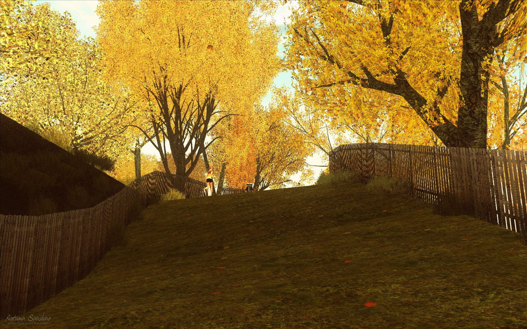 Autumn Sunshine image - ModDB