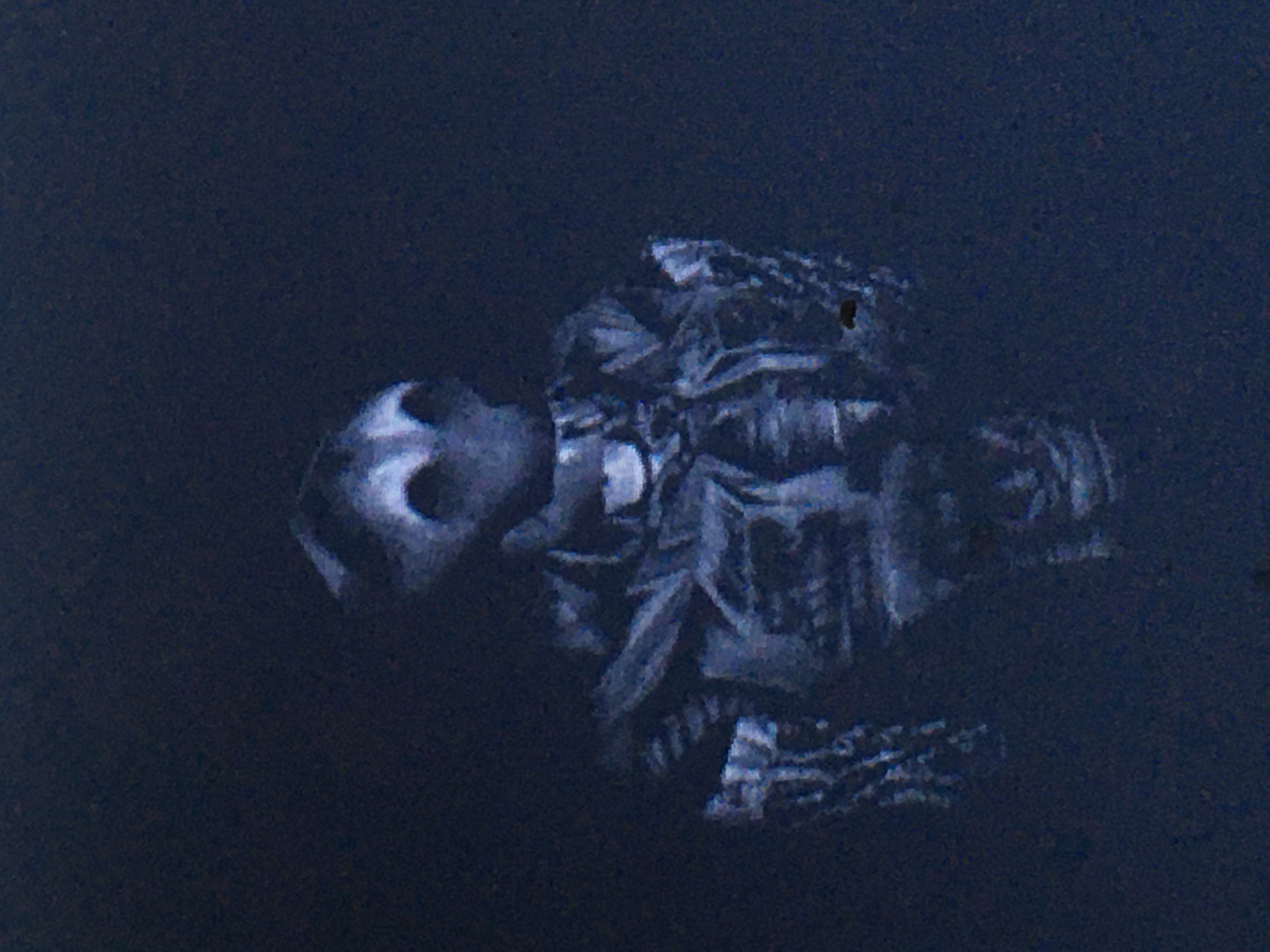Inheritor Torso image - Macabee Mod (SS/DC) for Dawn of War - ModDB