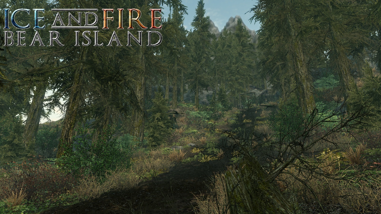 a forest picture image - Demented Evil mod for Elder Scrolls V: Skyrim ...