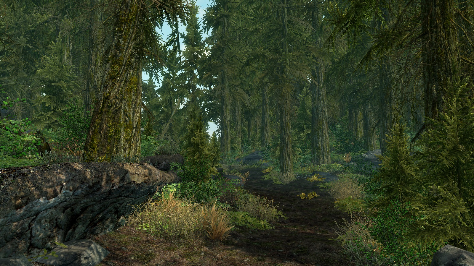 New forest pics image - Demented Evil mod for Elder Scrolls V: Skyrim ...