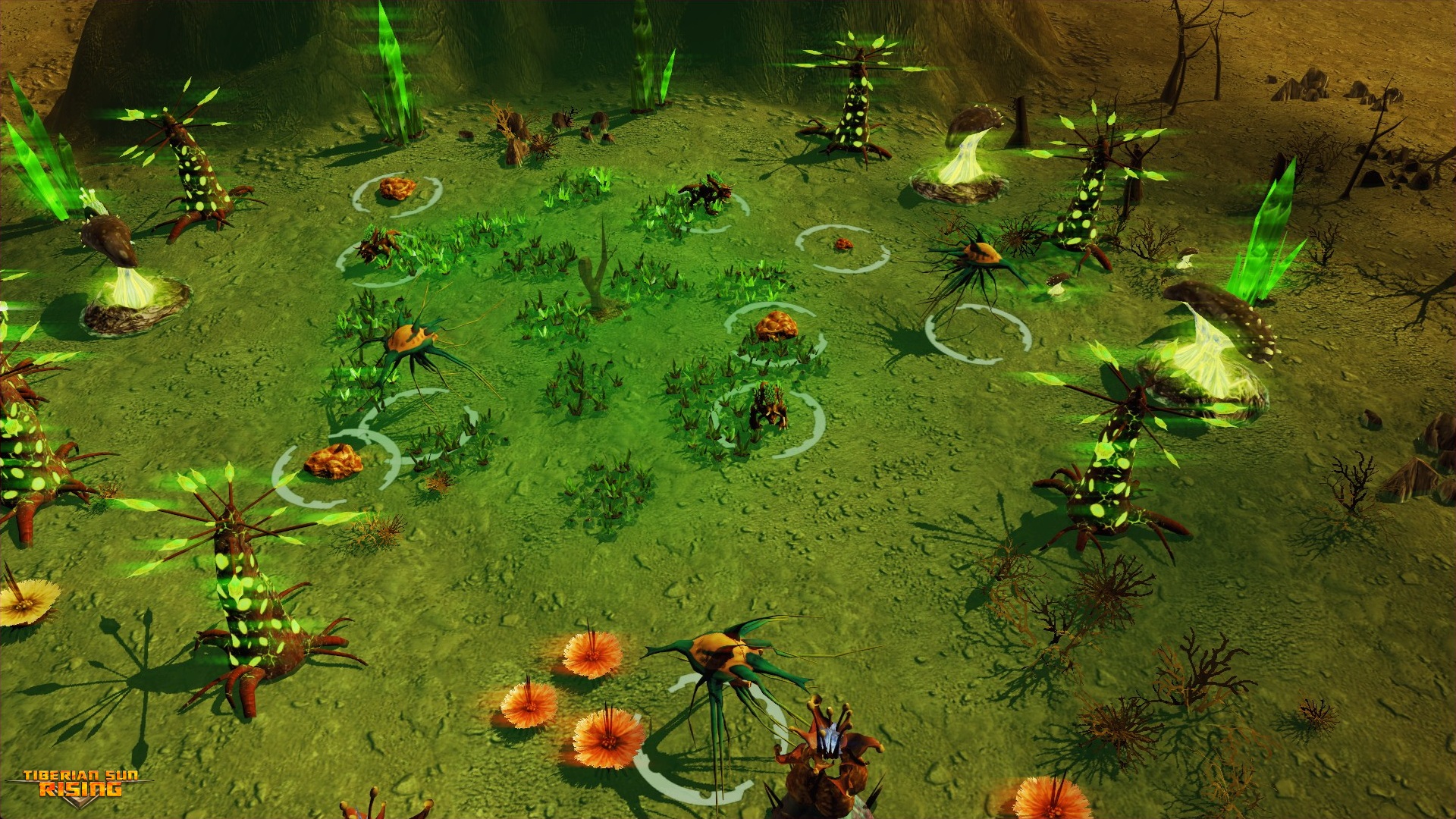 Riparius Tiberium Lifeforms image - ModDB