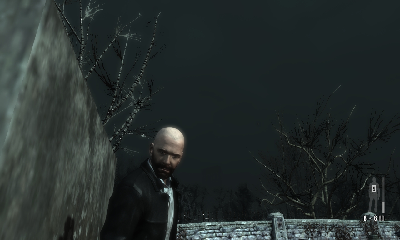 Capture 2019 01 17 20 23 21 969 image - Max Payne 3 Improved Face ...