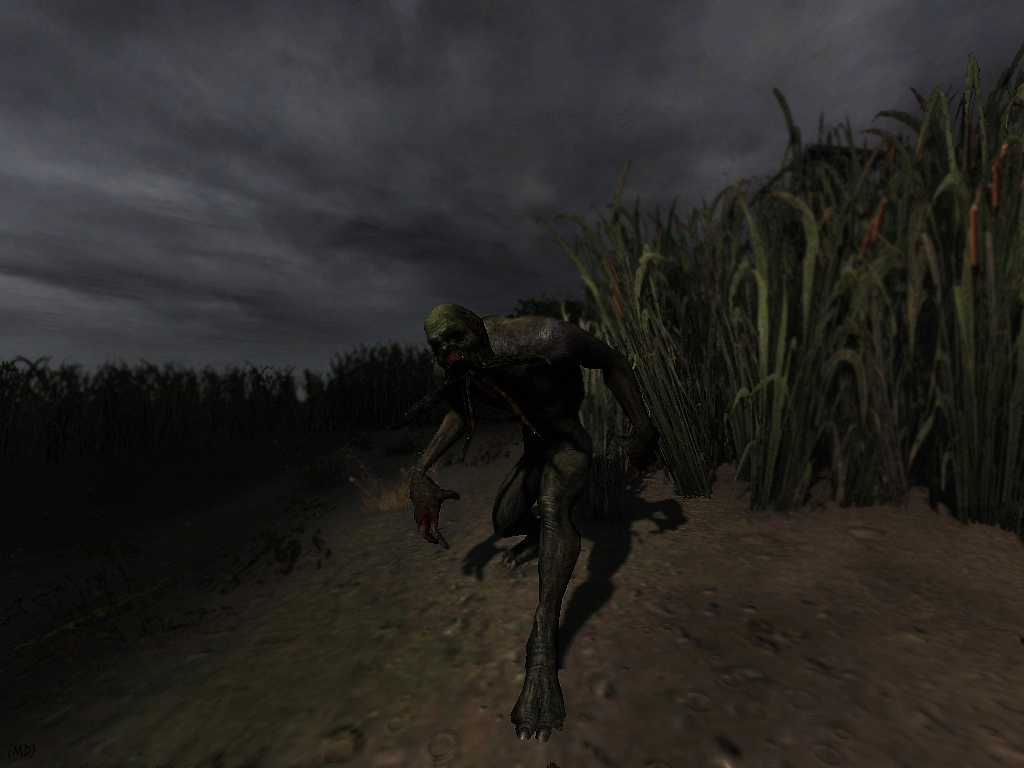 New Mutant - Marsh Beast image - S.T.A.L.K.E.R.: Life of The Zone mod ...