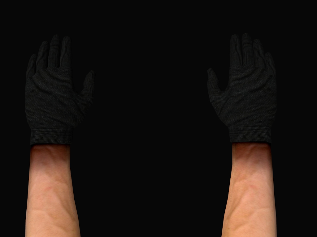 Hands Render image - Armed-Combat (on hold) mod for Half-Life 2 - ModDB